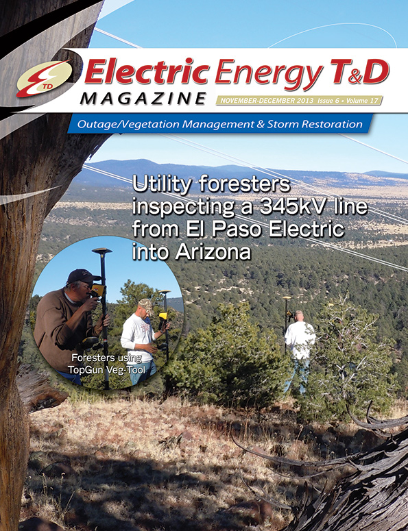 Vegetation Management Strategy, Prudent Practices, & Tools